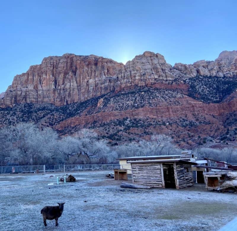9 Easy Hikes in Zion National Park Great for Families - On The Go Fam