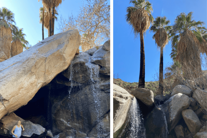 19+ National Parks Near Palm Springs Worth Visiting - On The Go Fam