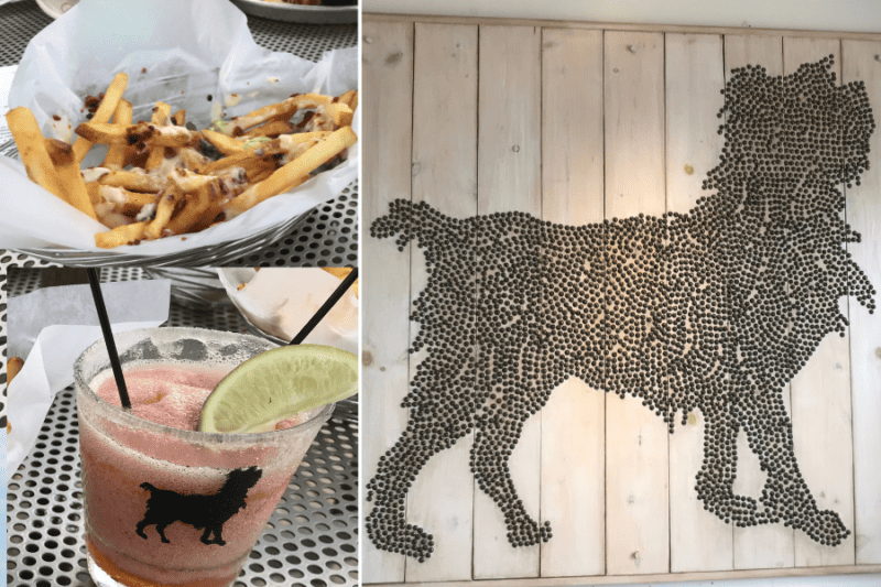 36 Must-Try Restaurants in New Buffalo & Michigan City (2026) - On The ...