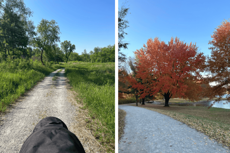 13 Reasons You Should Visit F.W. Kent Park (Iowa) - On The Go Fam