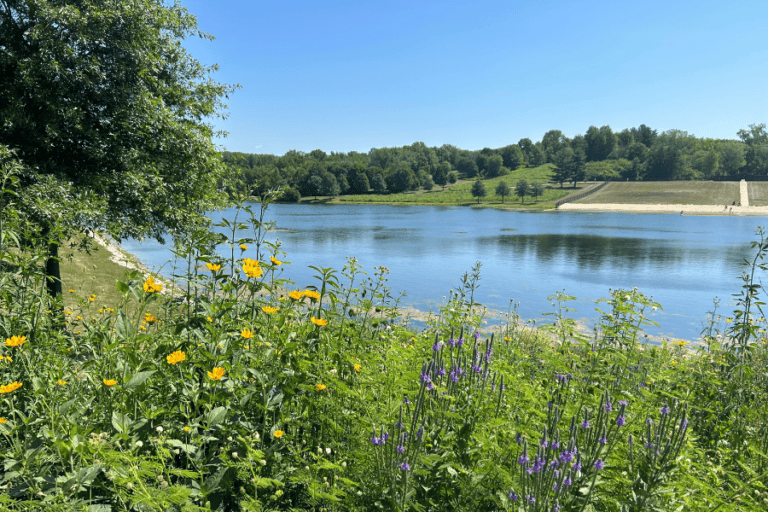 13 Reasons You Should Visit F.W. Kent Park (Iowa) - On The Go Fam