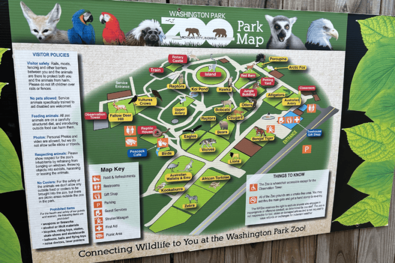 Complete Guide to Washington Park Beach & Zoo [Indiana] - On The Go Fam