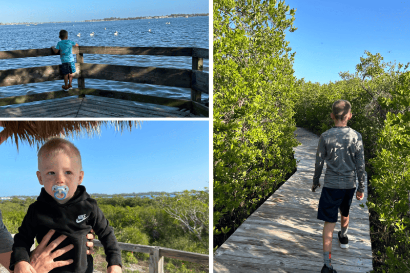 39 Awesome Things to Do On Anna Maria Island (2024) - Jettsetters Travel