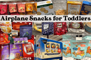 65 Best Airplane Snacks for Toddlers (2025) - On The Go Fam