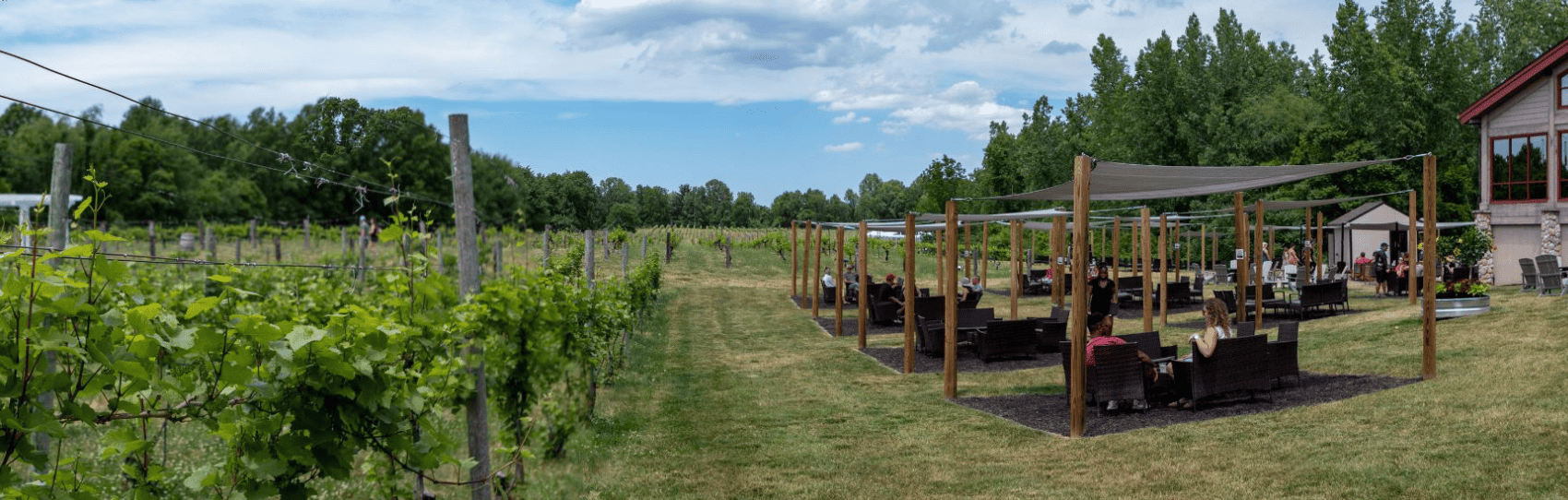 25 Best New Buffalo Area Wineries & Breweries (2025) - On The Go Fam