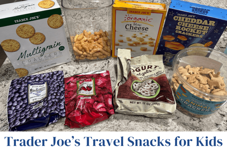 65 Best Airplane Snacks for Toddlers (2025) - On The Go Fam