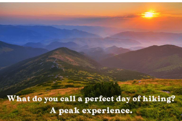 75 Hiking Quotes Funny Enough to Make You Laugh - On The Go Fam