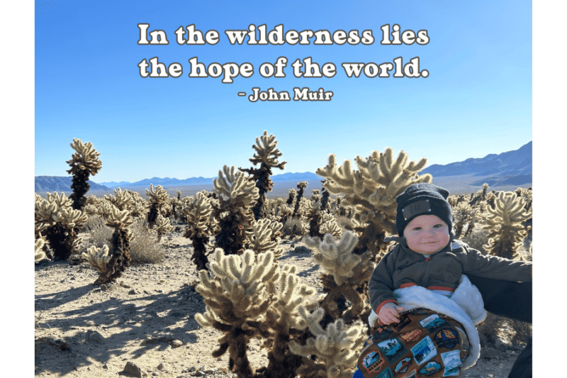 85 Travel With Kids Quotes to Inspire Family Adventure - On The Go Fam