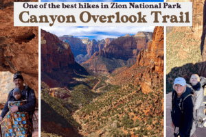 Canyon Overlook Trail with Kids (Zion National Park) - On The Go Fam