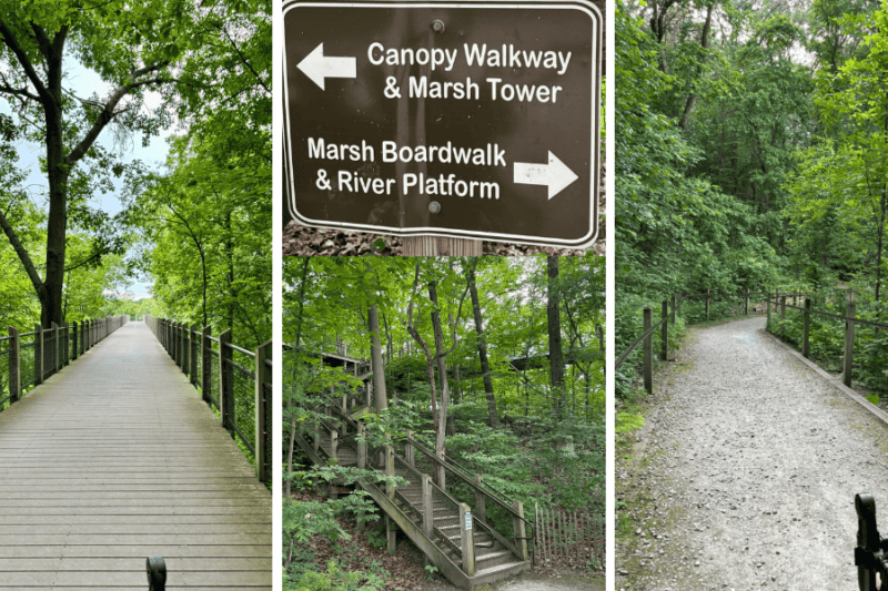 Top 10 Hiking Trails Near New Buffalo, Michigan - On The Go Fam