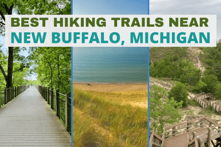 Top 10 Hiking Trails Near New Buffalo, Michigan - On The Go Fam